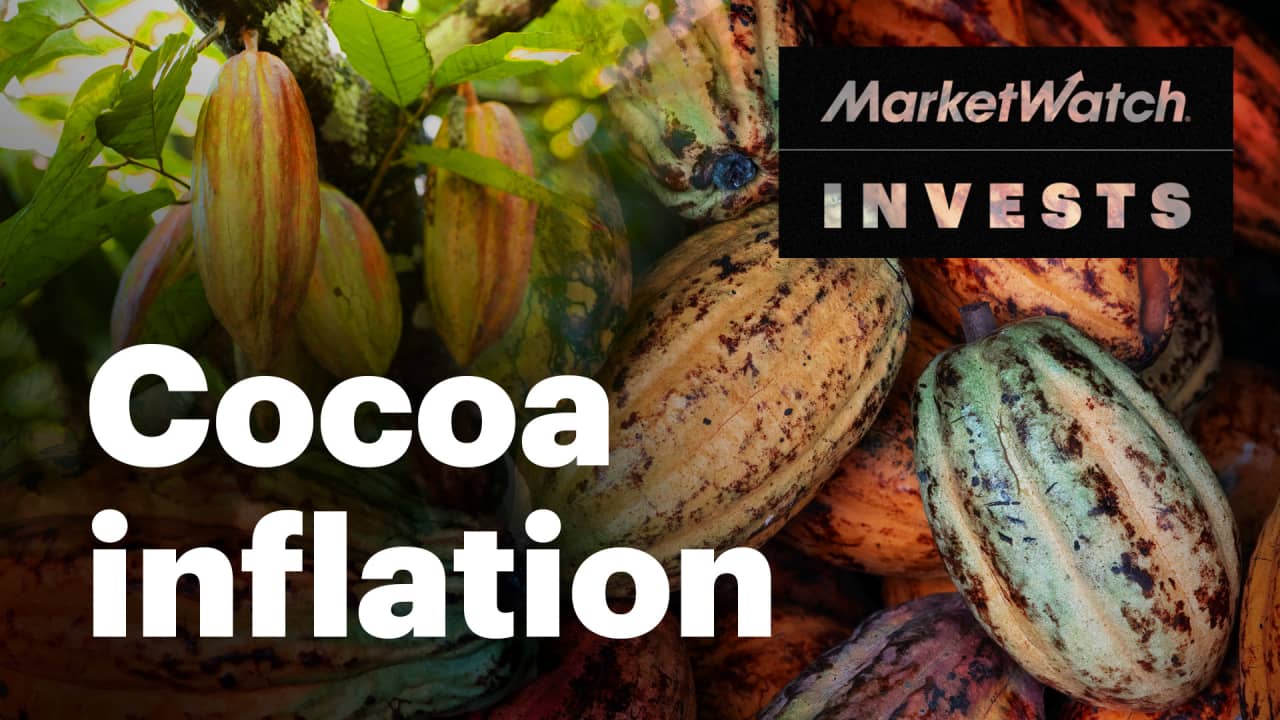 Why cocoa prices surged and what that means for the cost of chocolate - MarketWatch