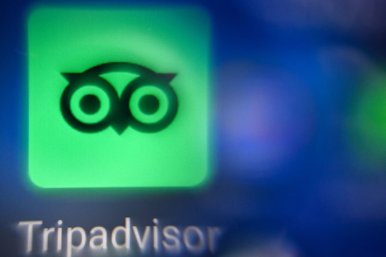 Tripadvisor Png Tripadvisor Large Logo PNG Transparent With Clear
