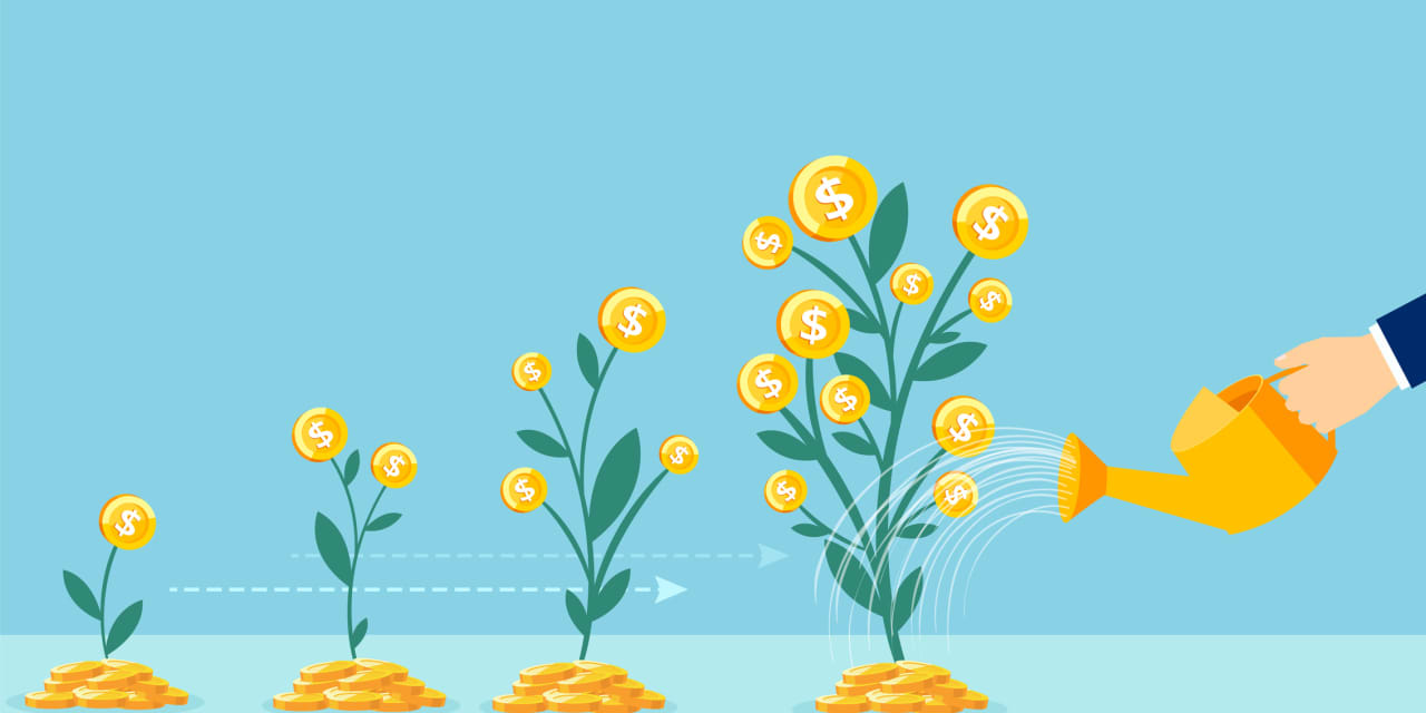These 9 portfolios can double your lifetime returns - MarketWatch