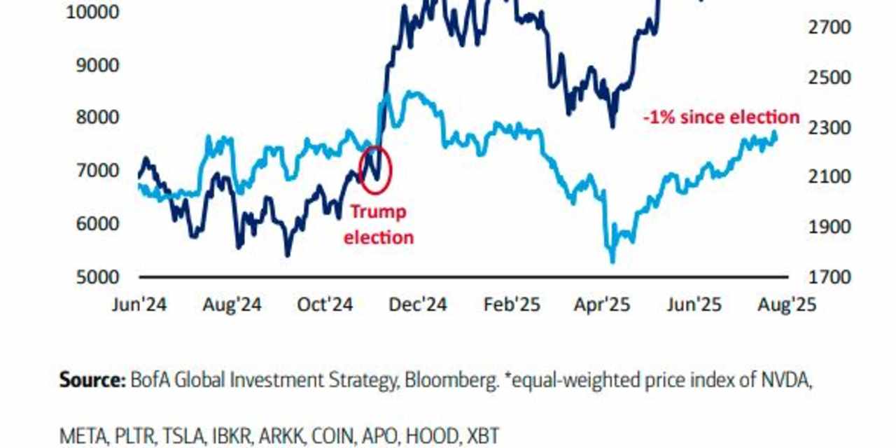The 'bro-billionaire stocks' are thriving under Trump, but Main Street ...