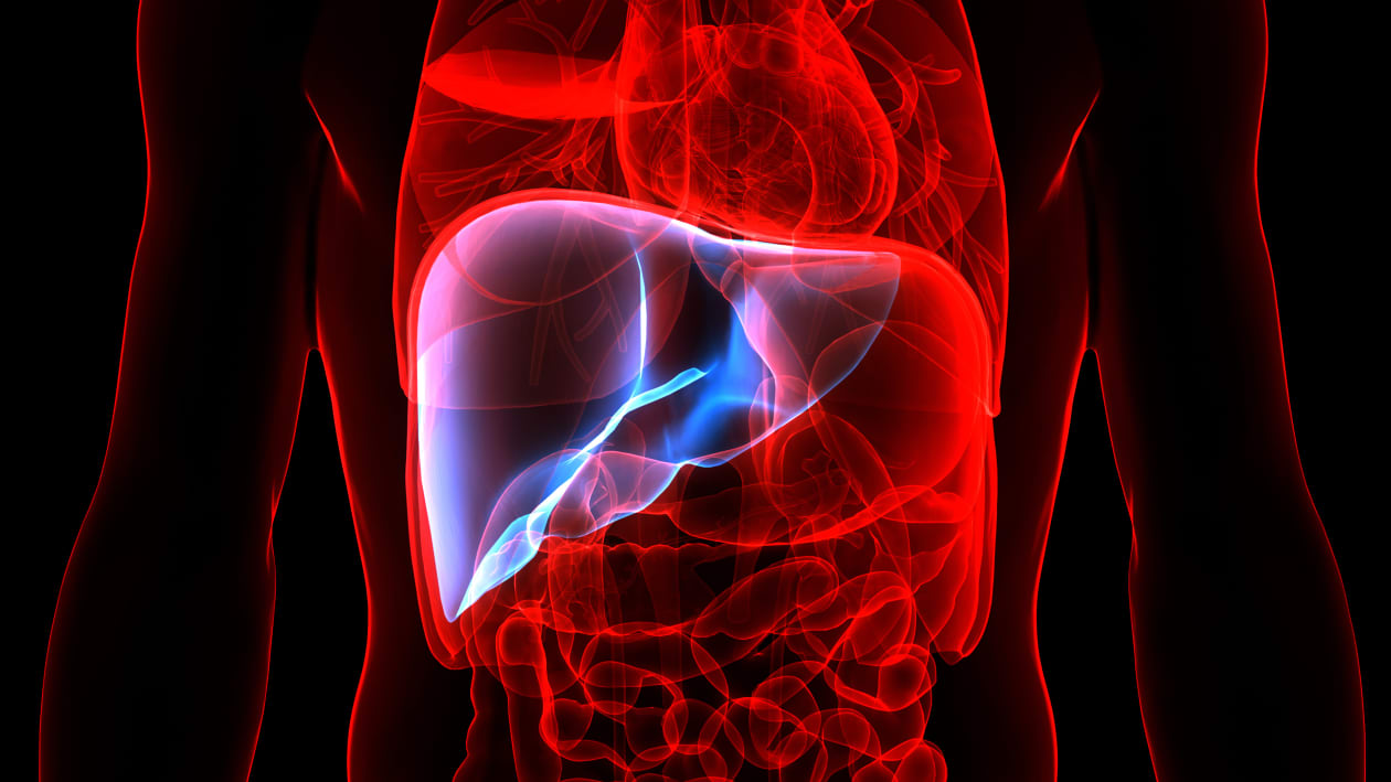 Tempest Therapeutics’ stock jumps nearly 4,000% as liver-cancer ...