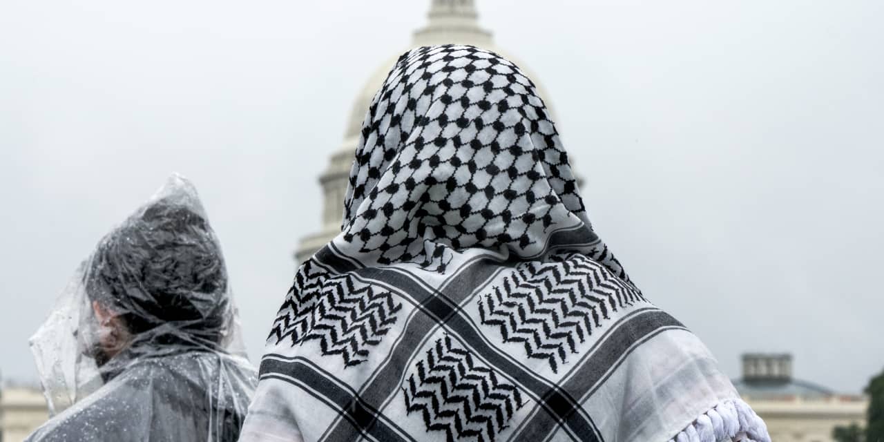 Hundreds of pro-Palestinian protesters rally in Washington to mark a ...