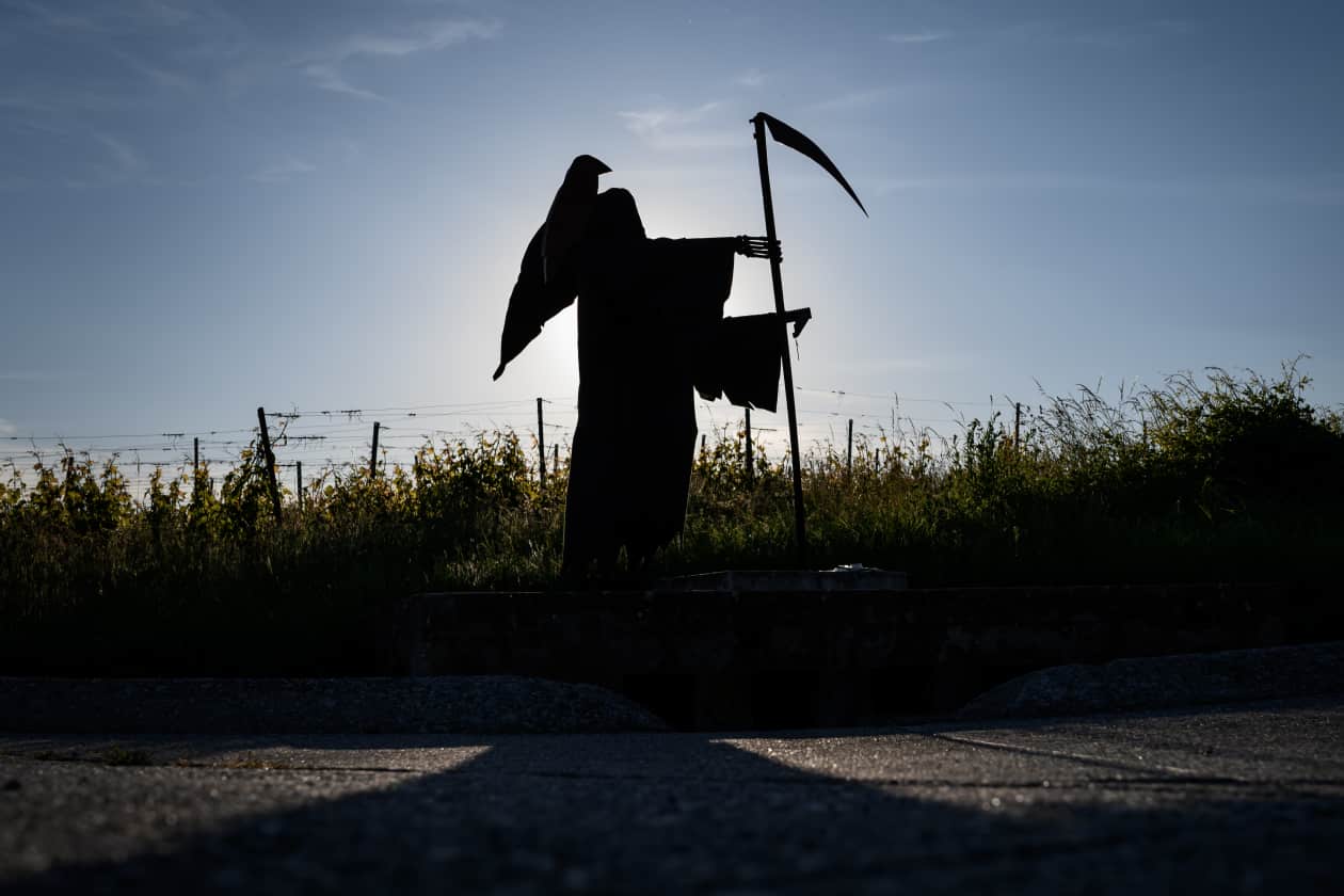 Why the Tesla ‘death cross’ shouldn’t scare off investors - MarketWatch