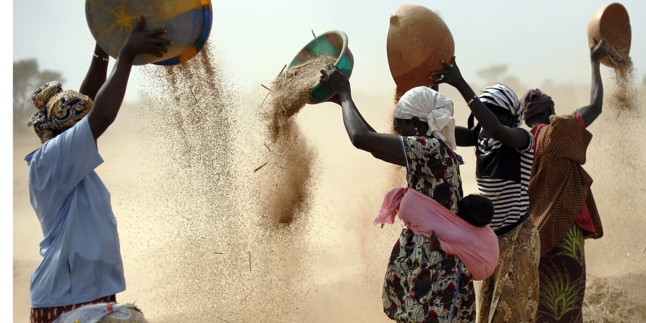 Opinion: Feeding people on this warming Earth requires future-proofing ...