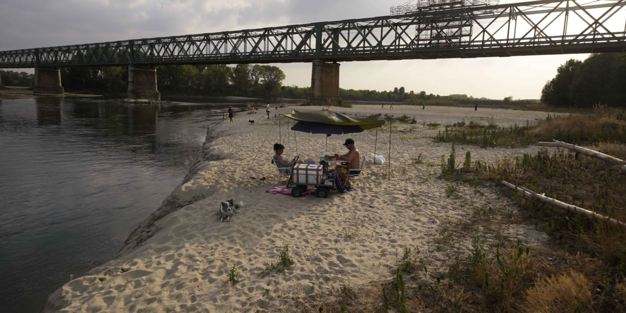 Italy’s worst drought in 70 years turning famed Arborio rice fields ...