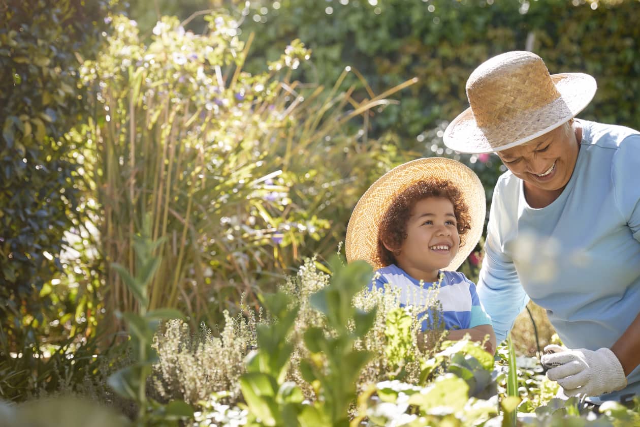 12 ways to make your retirement better for the planet - MarketWatch