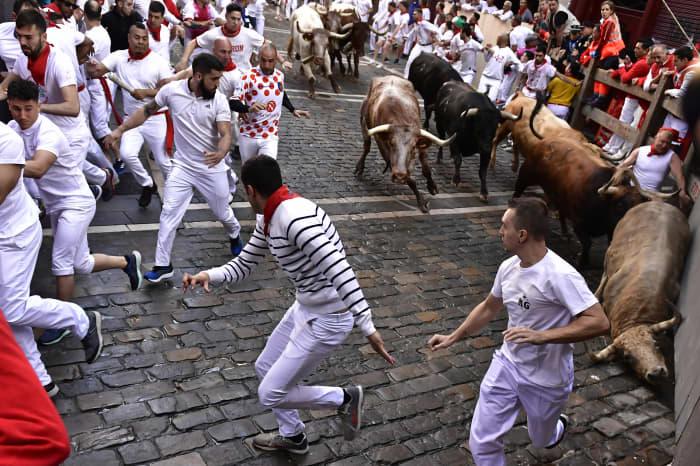 Bulls run in Pamplona for first time since 2019; no one gored - MarketWatch