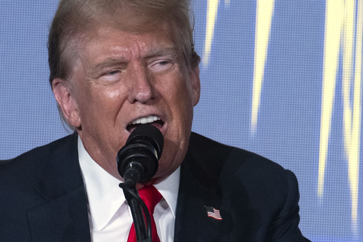 ‘History has been made.’ Why promises by Trump, GOP platform to defend ...