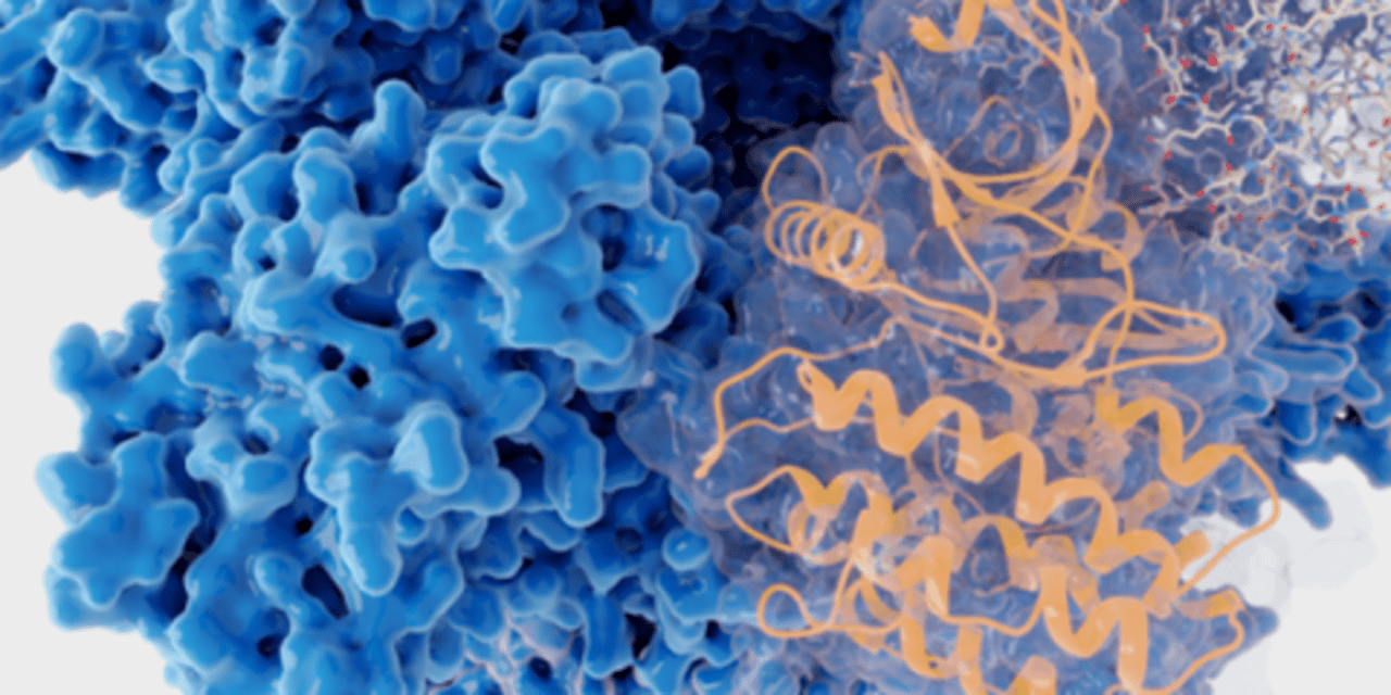 Deciphera to be acquired by Japan’s Ono in all-cash deal valued at $2.4 ...