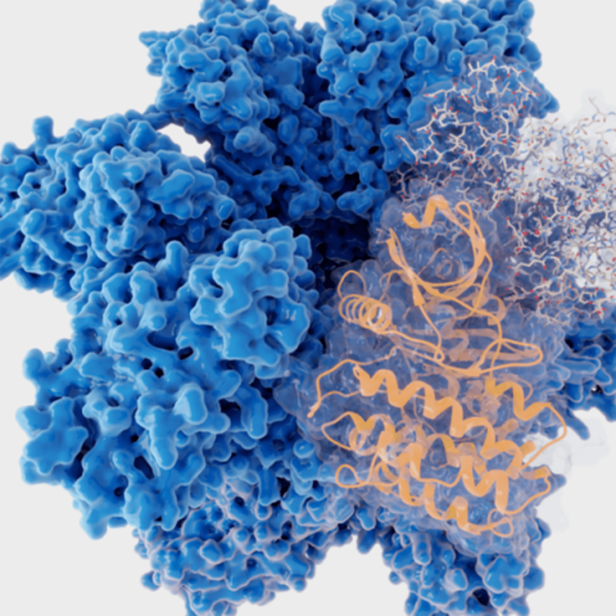 Deciphera to be acquired by Japan’s Ono in all-cash deal valued at $2.4 ...