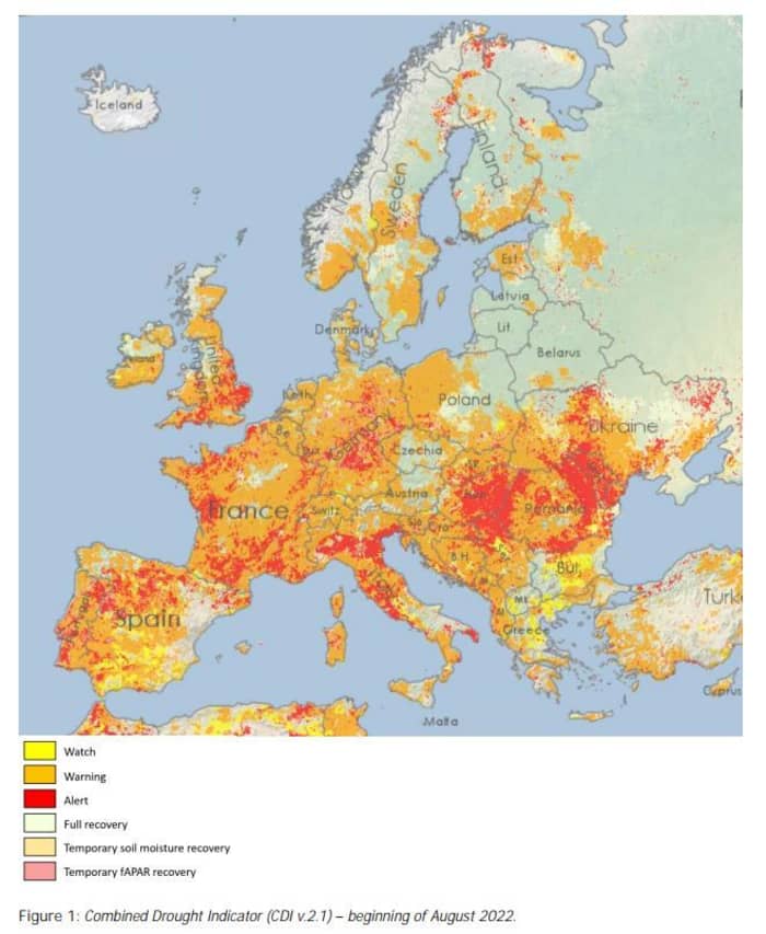 Battered by heatwaves, Europe faces its worst drought in at least 500 ...