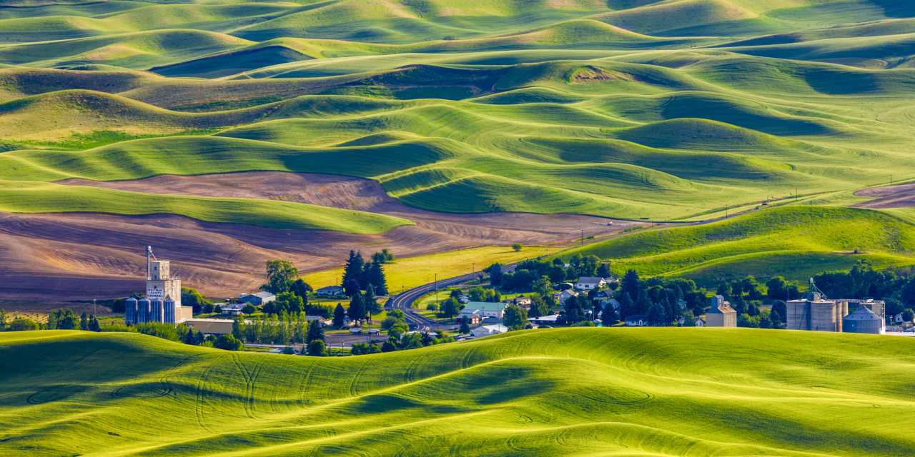 9 cultural activities to do in the scenic Palouse region of the ...