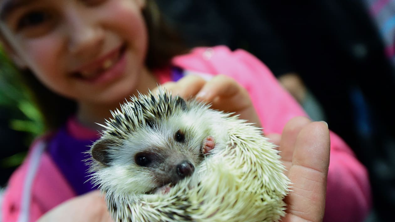 ‘Metaverse,’ ‘pumpkin spice’ and 368 more words join Merriam-Webster ...