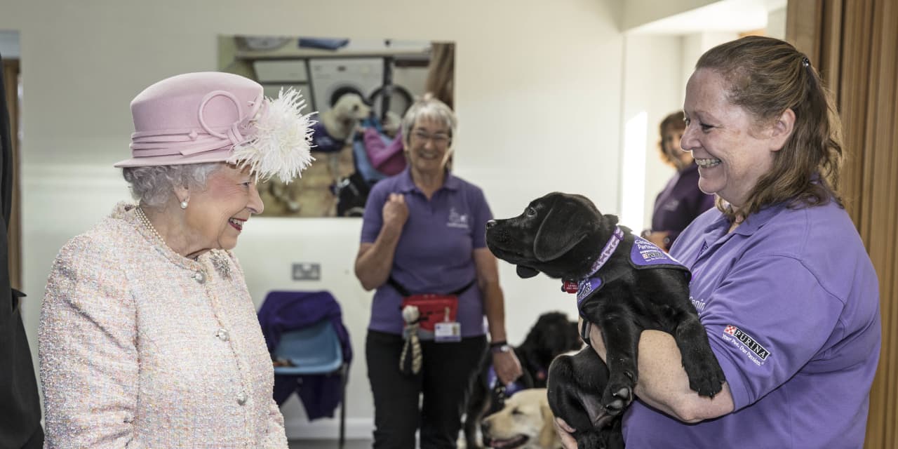 Queen Elizabeth II ‘demonstrated an unstinting passion for charities ...