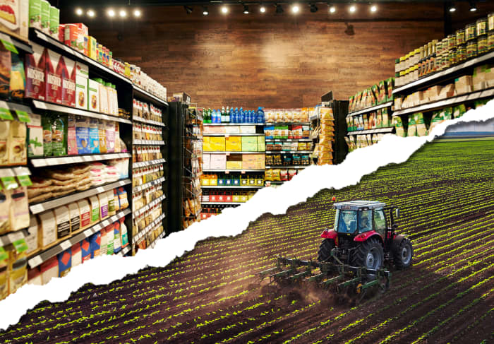 High fuel costs will continue to contribute to the rise in food prices ...