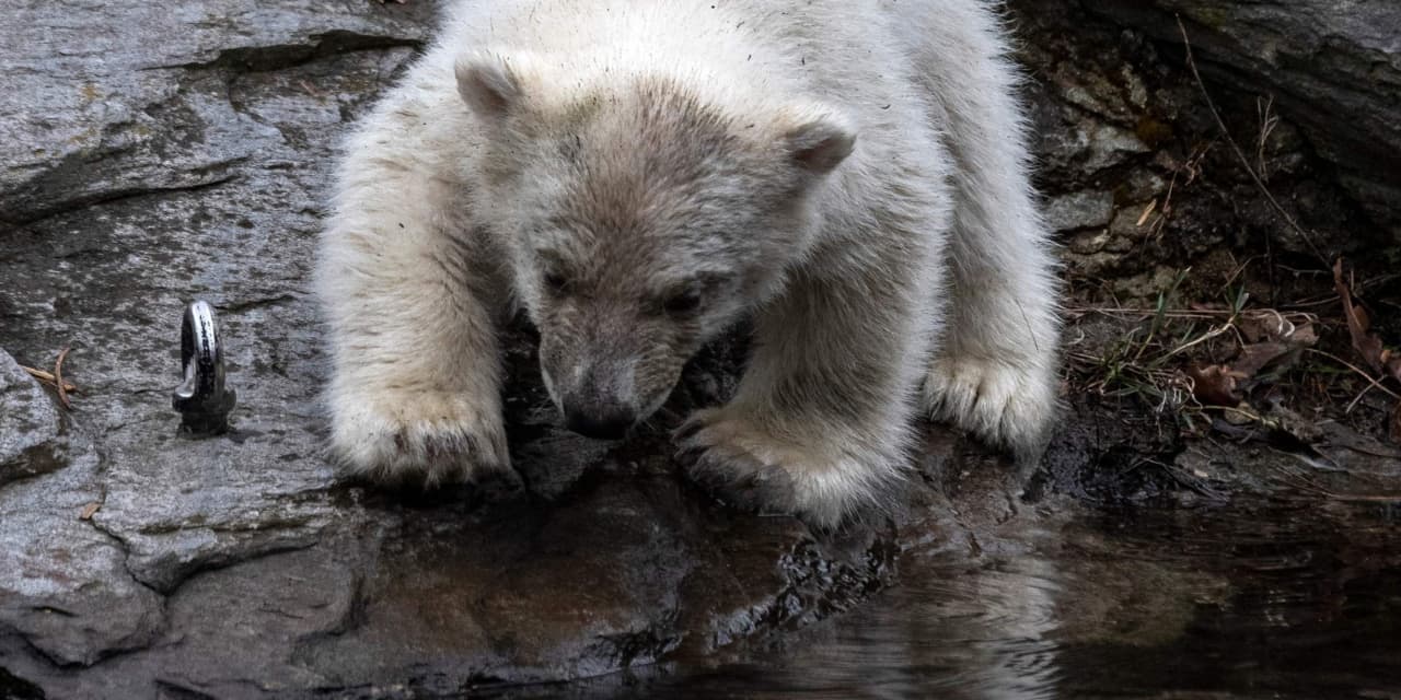 Thinking about a Roth conversion? If you have an IRA, consider this ...