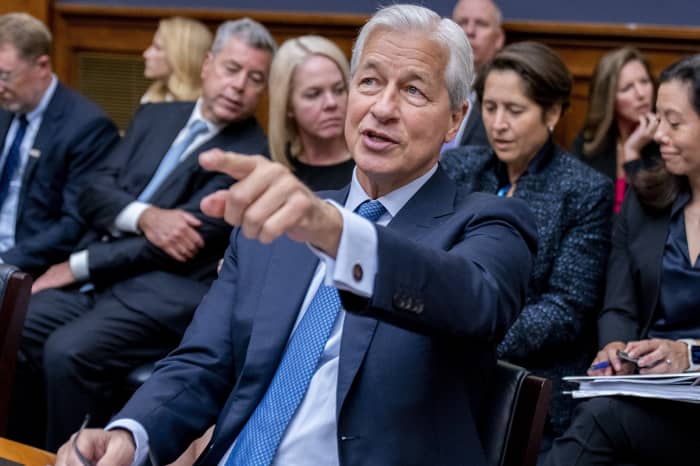 Jamie Dimon slams cryptocurrencies as 'pet rocks', says they're 'not a ...