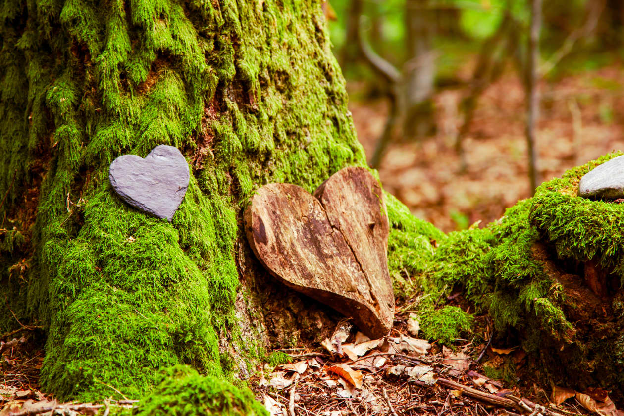 What should I do with my body when I die? The options go way beyond ...