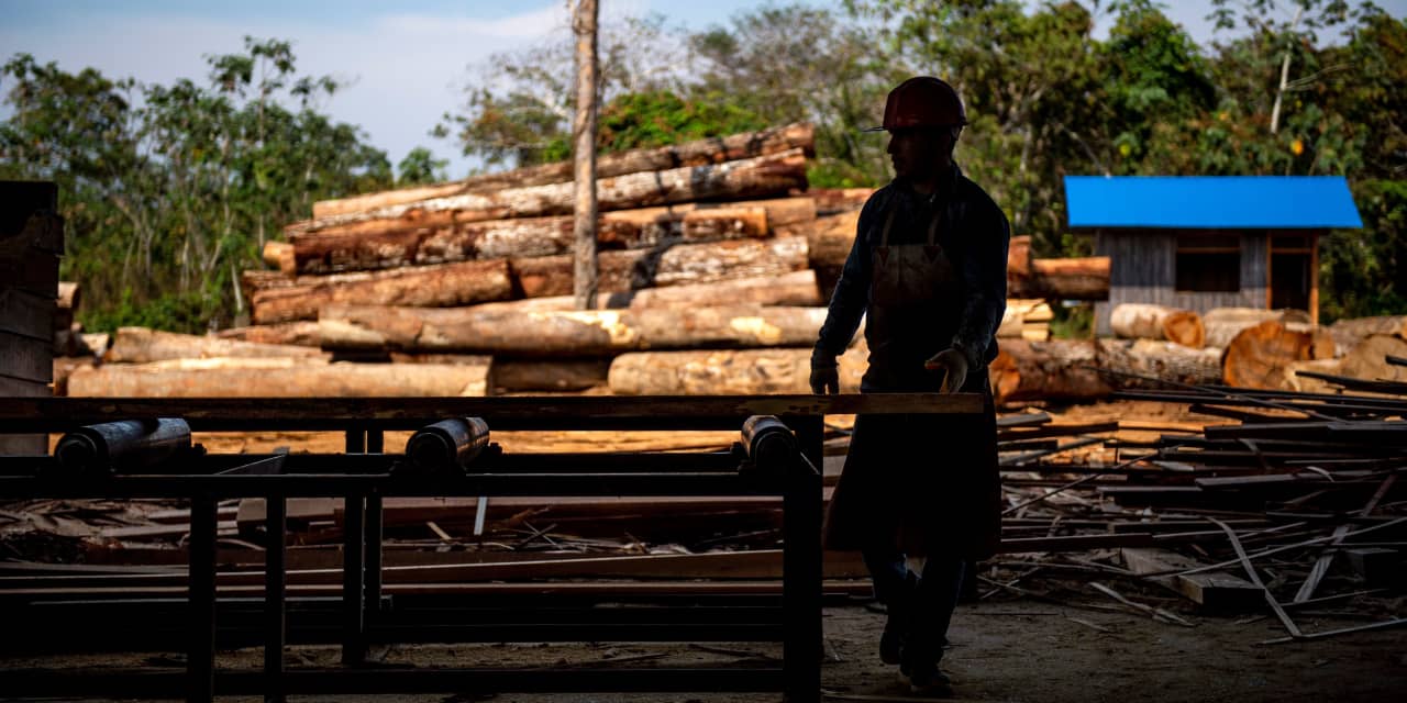 Opinion: Protecting forests is even more powerful in the climate fight ...