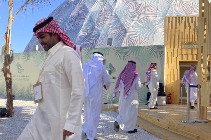 Saudi Arabia has 'green vision' at COP27 climate talks, critics unmoved ...