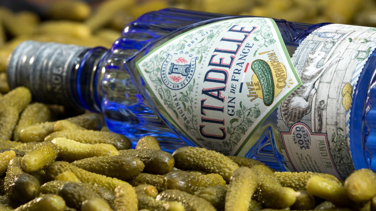 Toast National Pickle Day with this pickle-flavored gin perfect for ...