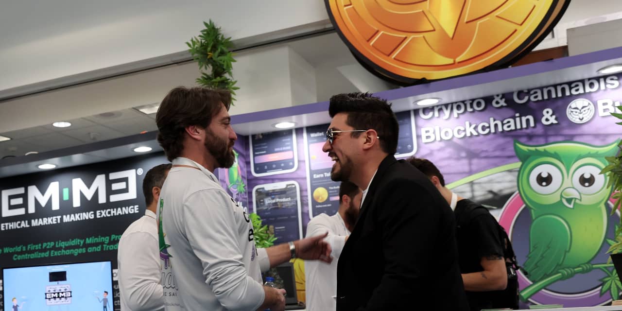 Here’s who’s been trading crypto, and how they’re doing - MarketWatch
