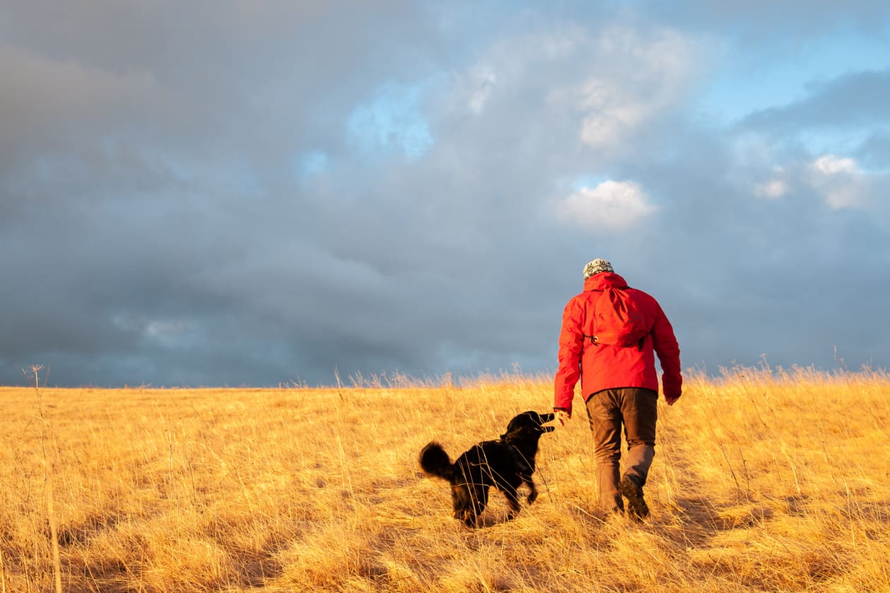 How I’m Staying in Shape by Turning My Daily Stroll Into Hard Exercise ...