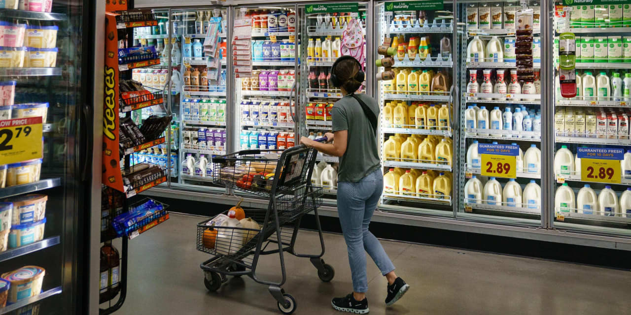 Inflation is slowing, CPI to show. But is it slowing fast enough for ...
