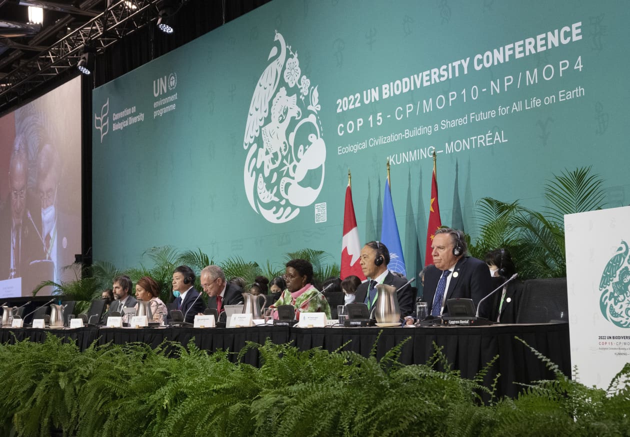 Nations move closer to conservation deal at COP15 biodiversity ...