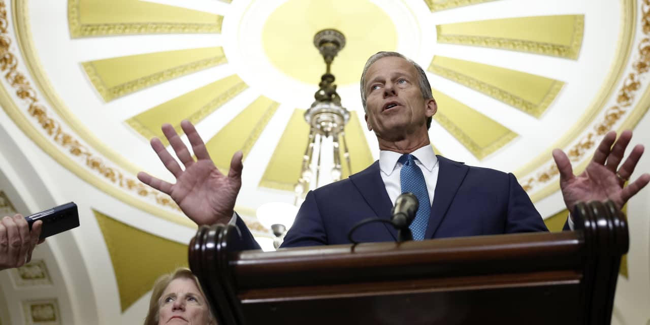 Republican John Thune of South Dakota elected next Senate majority leader after secret-ballot ...