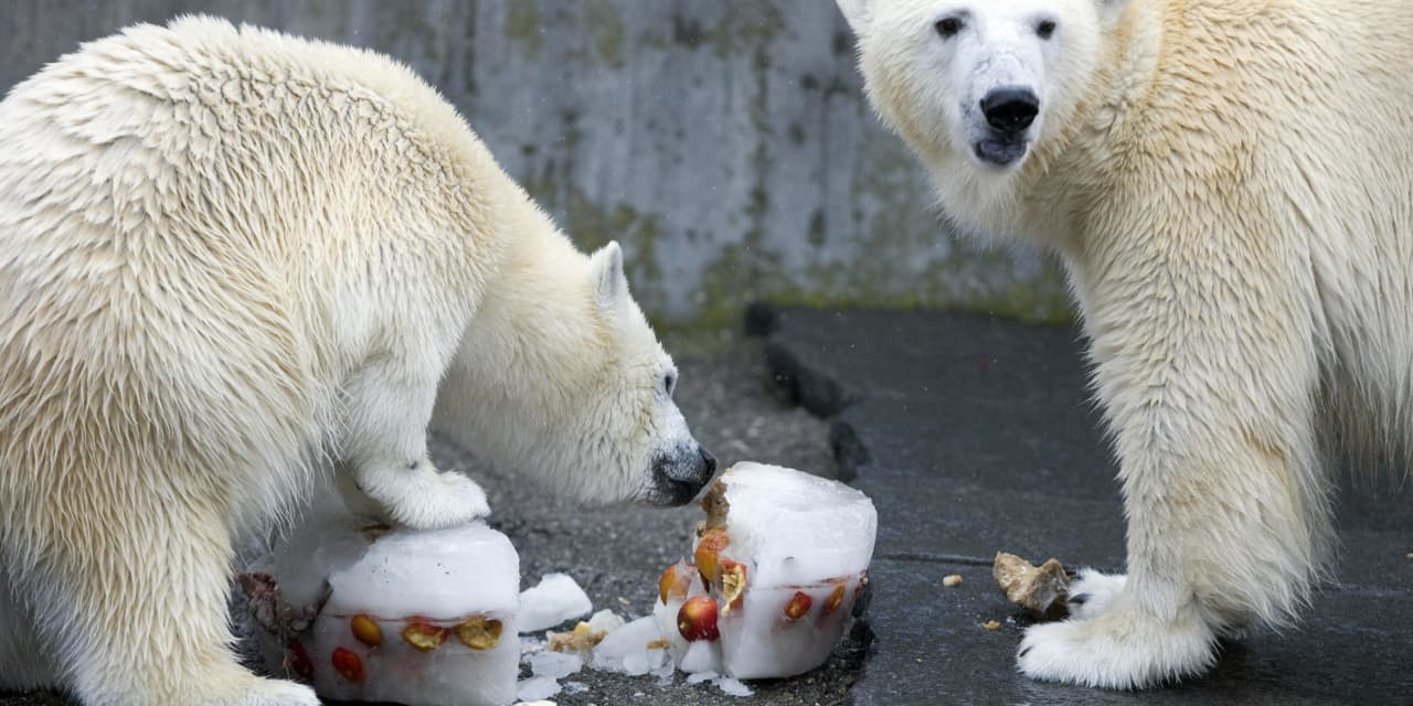 Here's the next mega tech stock likely to fall into the bear market's ...