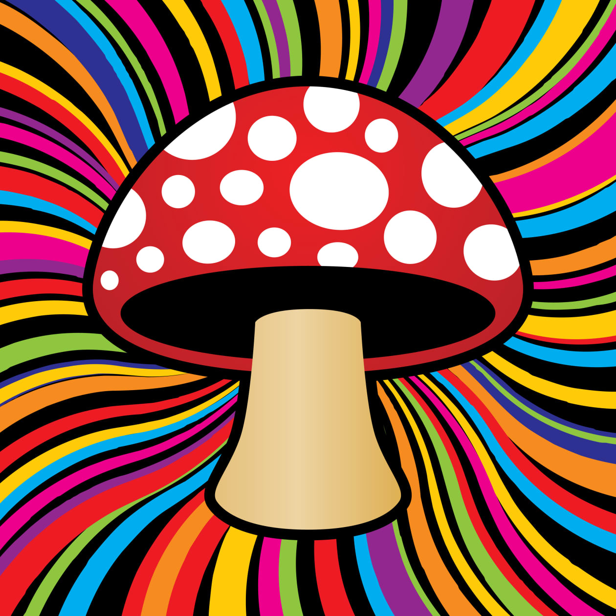From mortgage fraud to magic mushrooms: Inside the mysterious world of ...