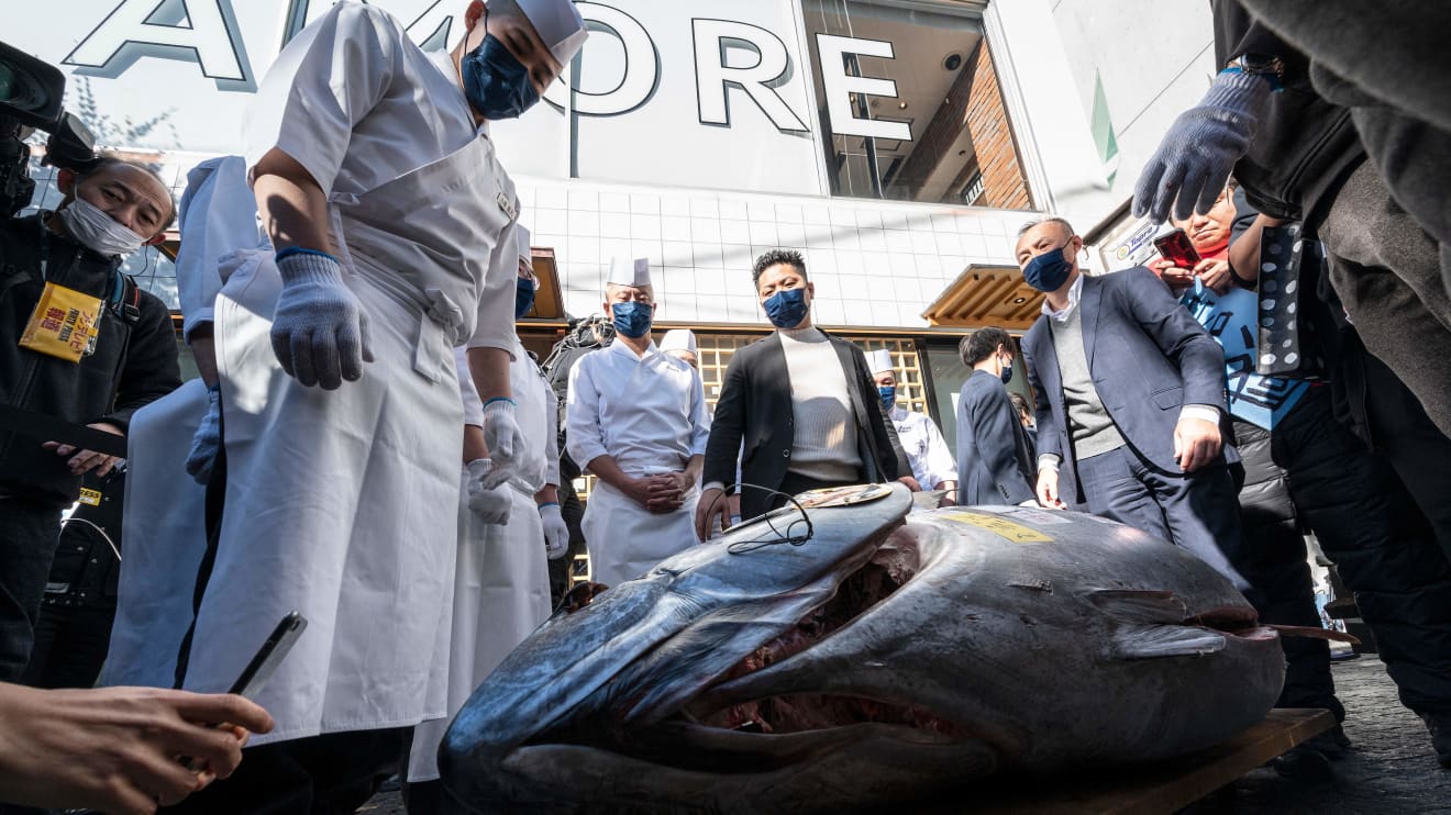 Talk about some pricey sushi: This tuna sold for $270,000 at a Tokyo ...