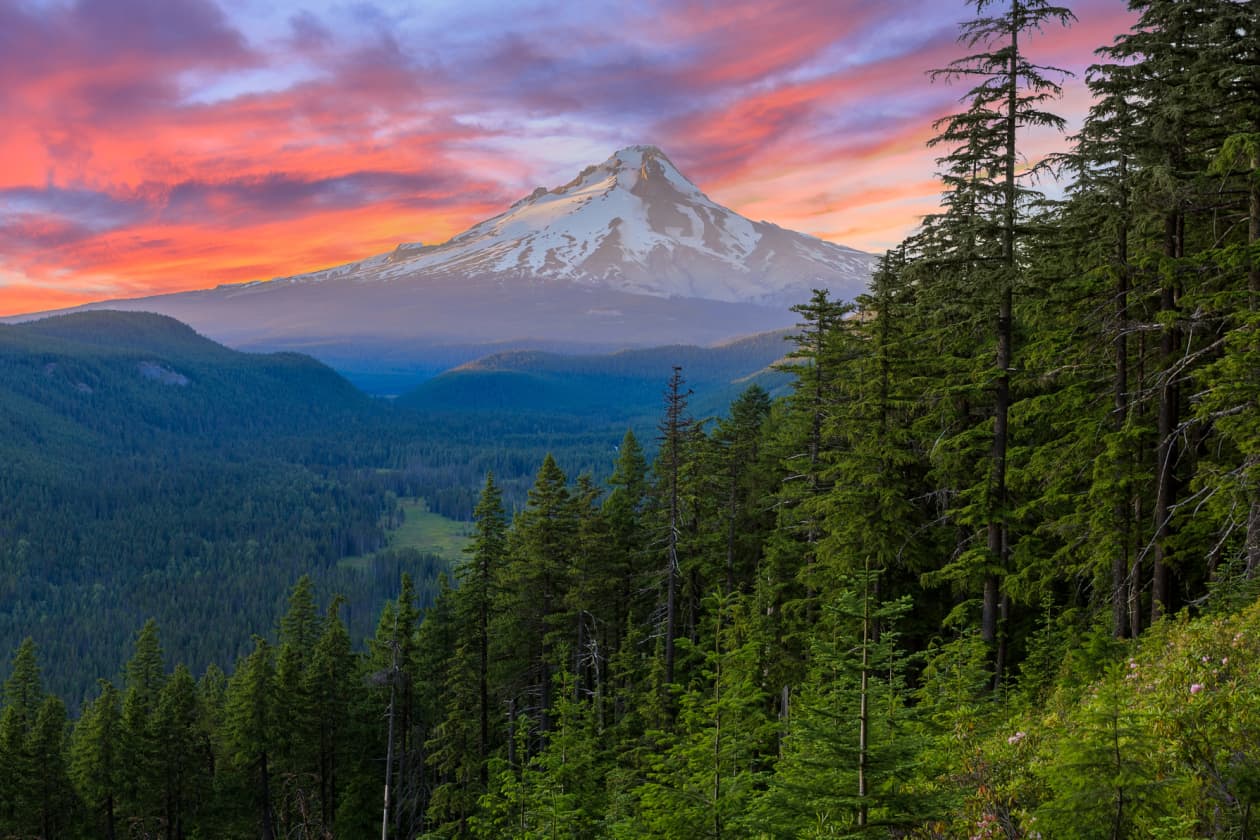 This couple left the city in their 60s to start a whole new way of life ...