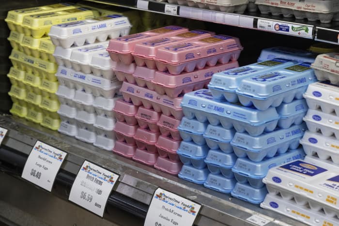 U.S. senator demands FTC investigate possible price-gouging as egg ... U.S. senator demands FTC investigate possible price-gouging as egg ...
