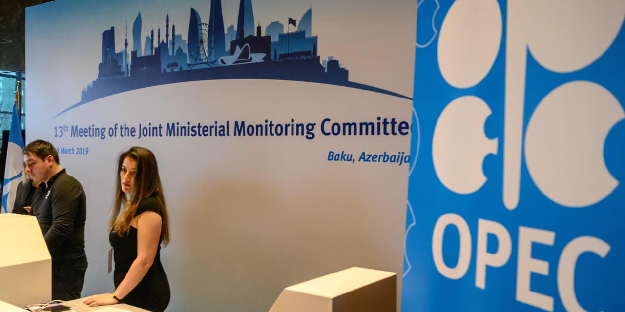 OPEC+ committee meets next week with ample oil uncertainties to discuss ...