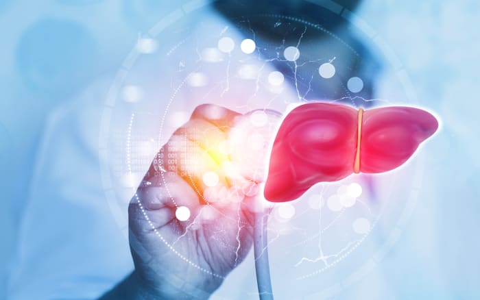 Inside the NASH drug boom: New drugs for a ‘silent’ liver disease that ...