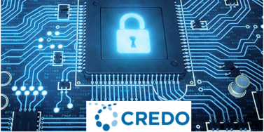 Credo stock loses nearly half its value after largest customer cuts ...