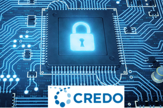 Credo stock loses nearly half its value after largest customer cuts ...