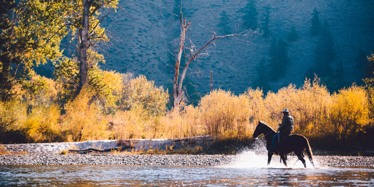 These are the most desirable places to live in Montana - MarketWatch