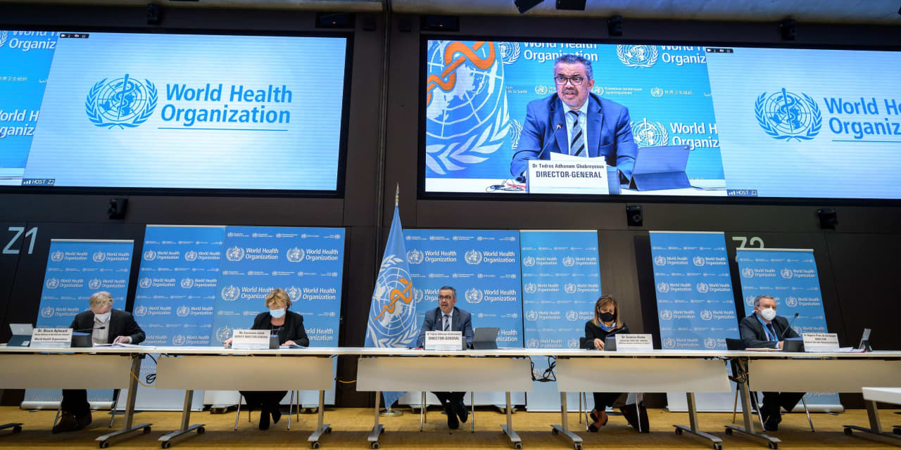 WHO expects to declare end to pandemic sometime in 2023 as virus ...