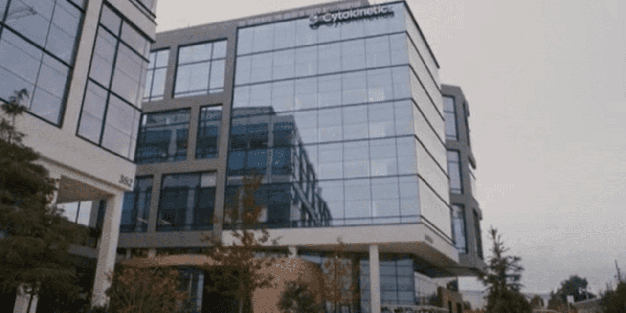 Cytokinetics’ stock rockets to 19-year high after positive data on ...