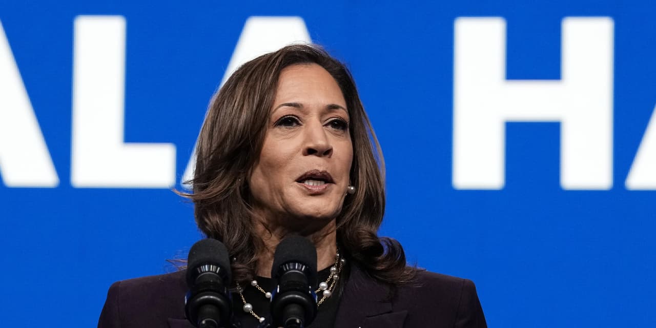 Harris freshens up her message on the economy as Trump and Republicans ...