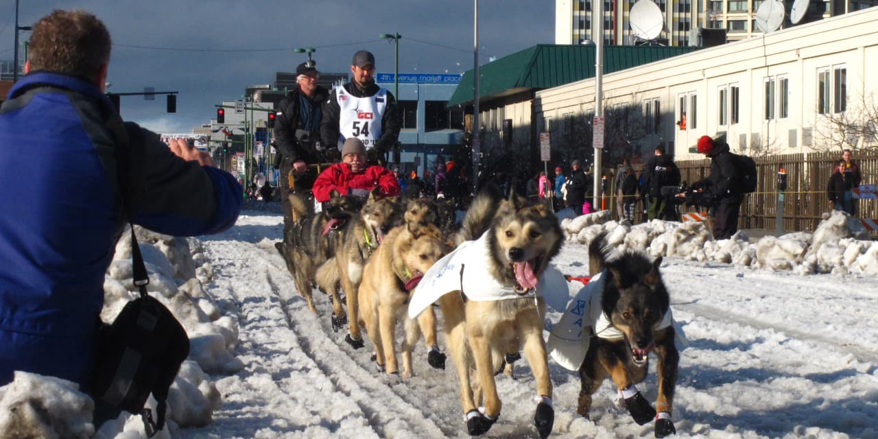 Alaska’s arduous Iditarod kicks off with ceremonial start - MarketWatch