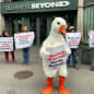 Bed Bath and Beyond bankruptcy: Giant ‘dancing goose’ celebrates ...