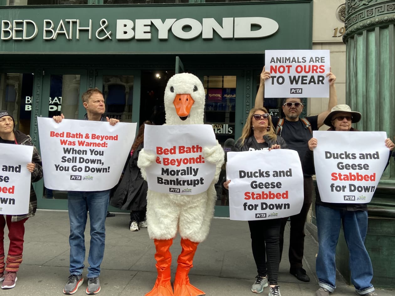 Bed Bath and Beyond bankruptcy: Giant ‘dancing goose’ celebrates ...
