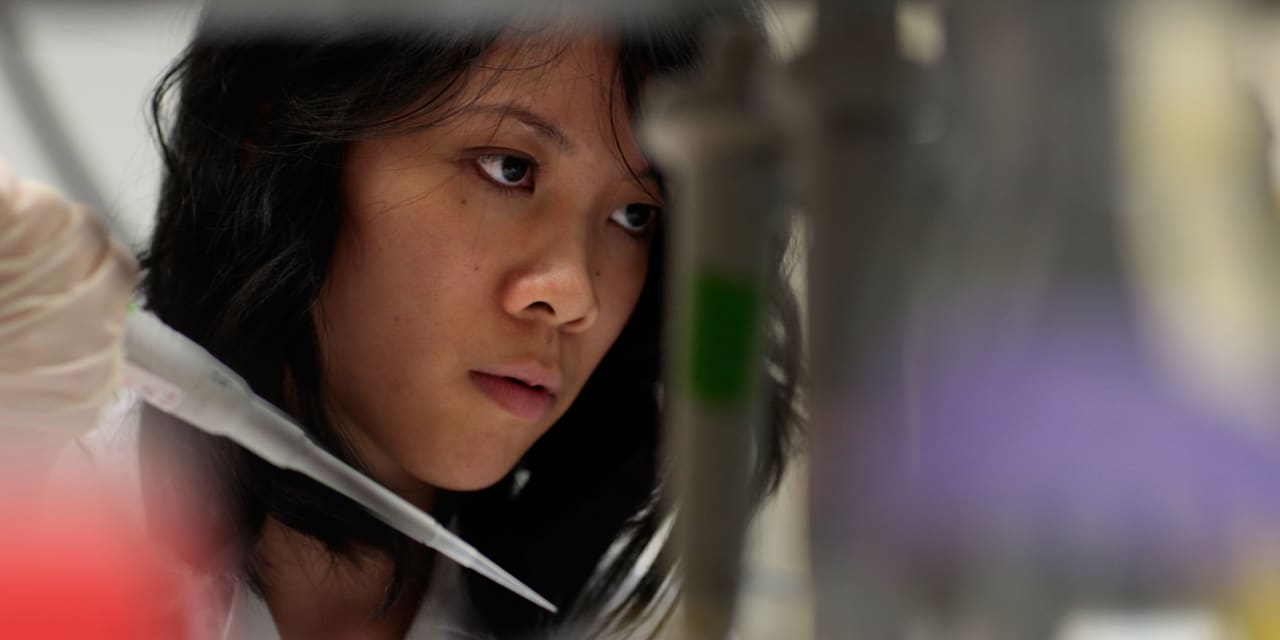 ImmunoGen stock rockets after ovarian cancer treatment shows ...