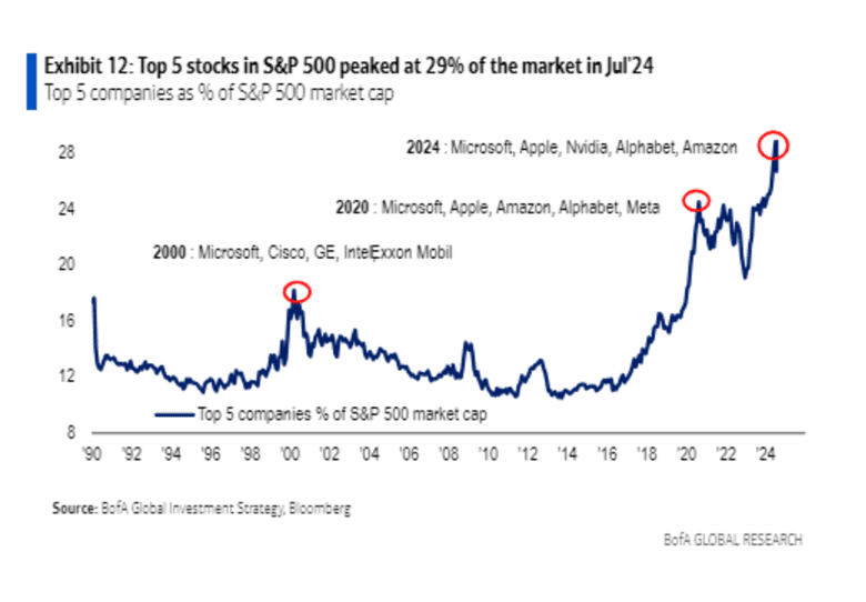 S&P 500's top five stocks nab a record 29% market cap in July - MarketWatch