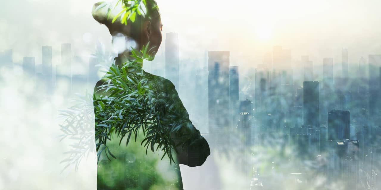 We know how to create Blue Zones in the U.S. But will we do it ...