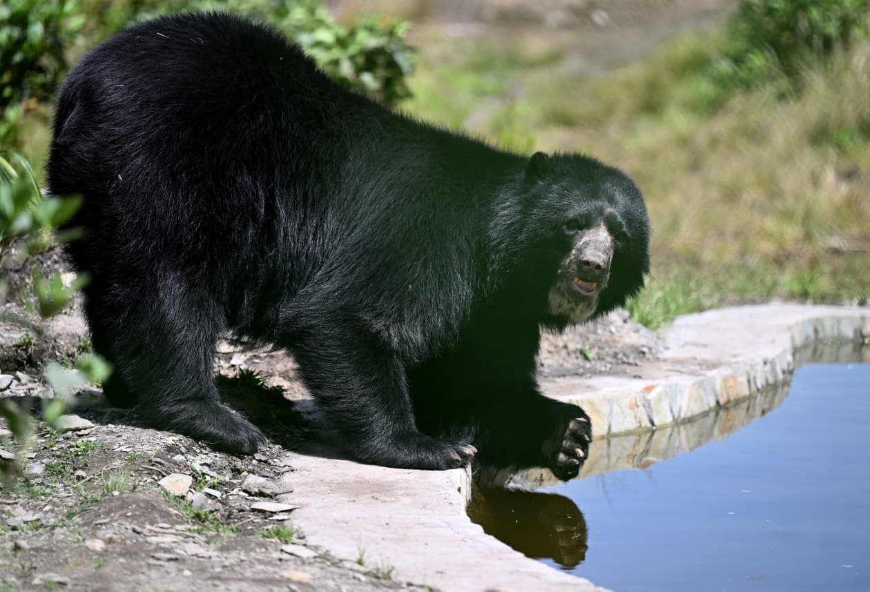 Trader who nailed the 2022 selloff says set aside some cash to buy a looming 10% stock pullback ...